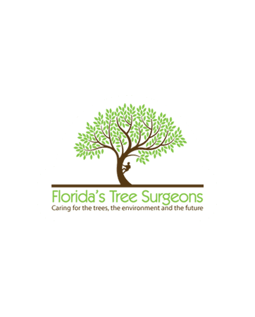 Sprout Media Lab Web Design Portfolio Raleigh Triangle & Professional ...