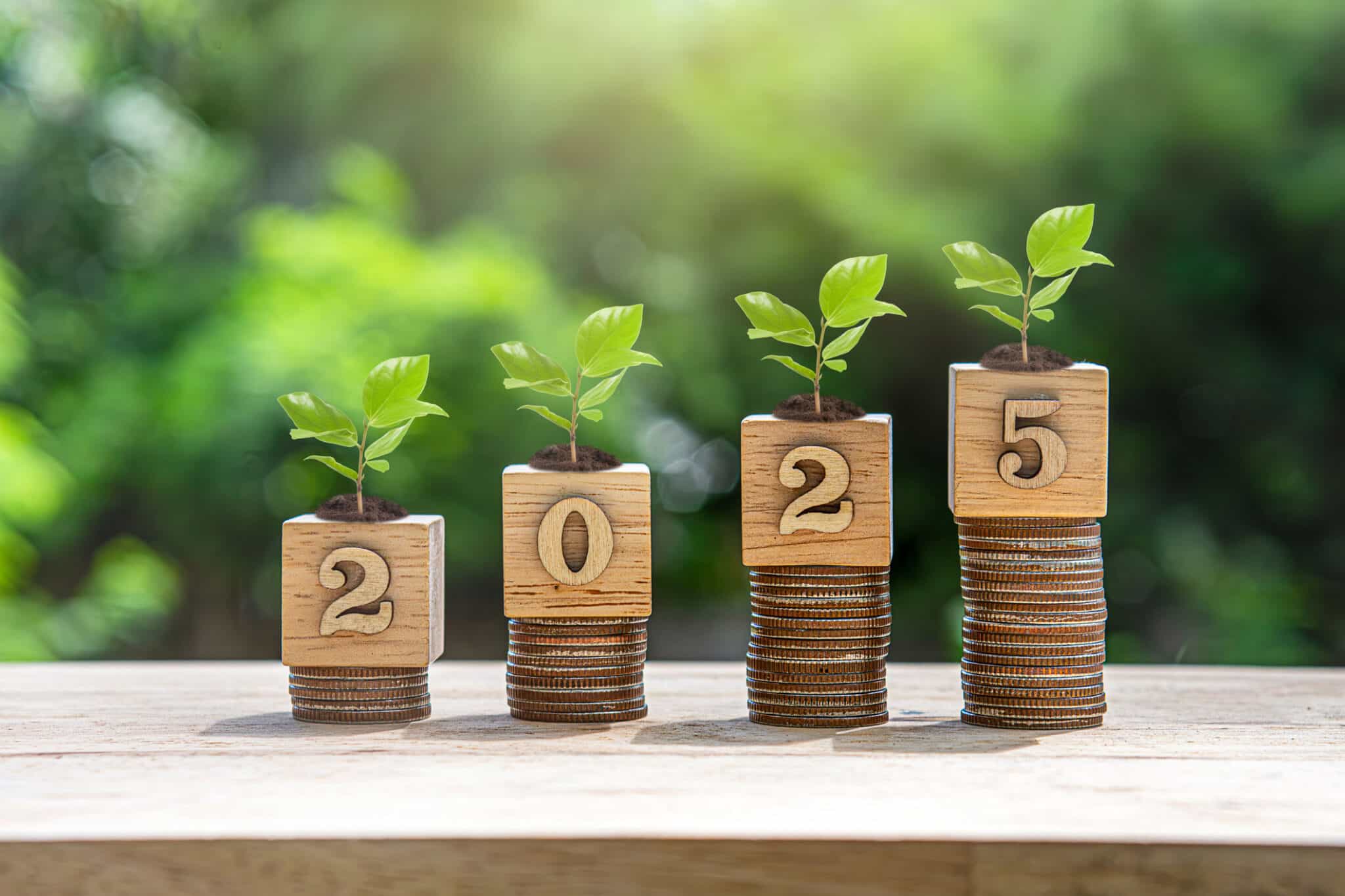 Thrive in 2025: Kick Off the New Year with a Complimentary Strategy ...